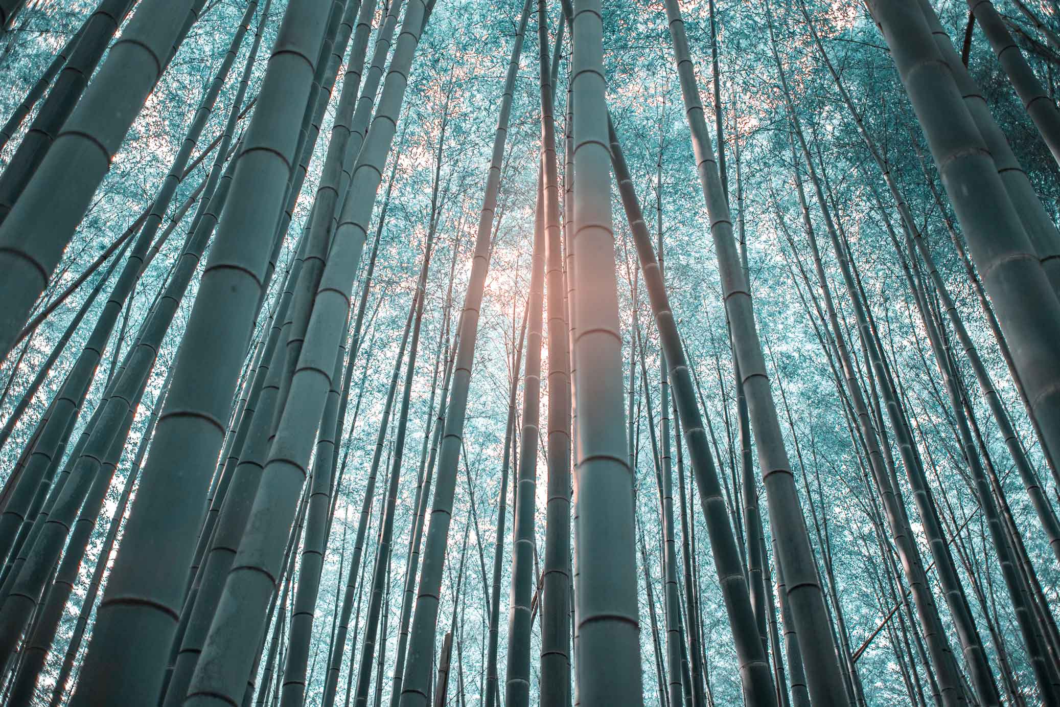 3 days itinerary in Kyoto, Nara and Osaka