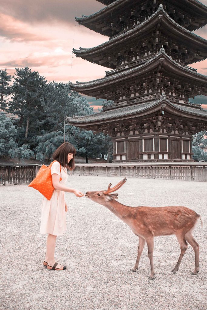 Japan Travel | All You Need To Know And The Best Places To Visit
