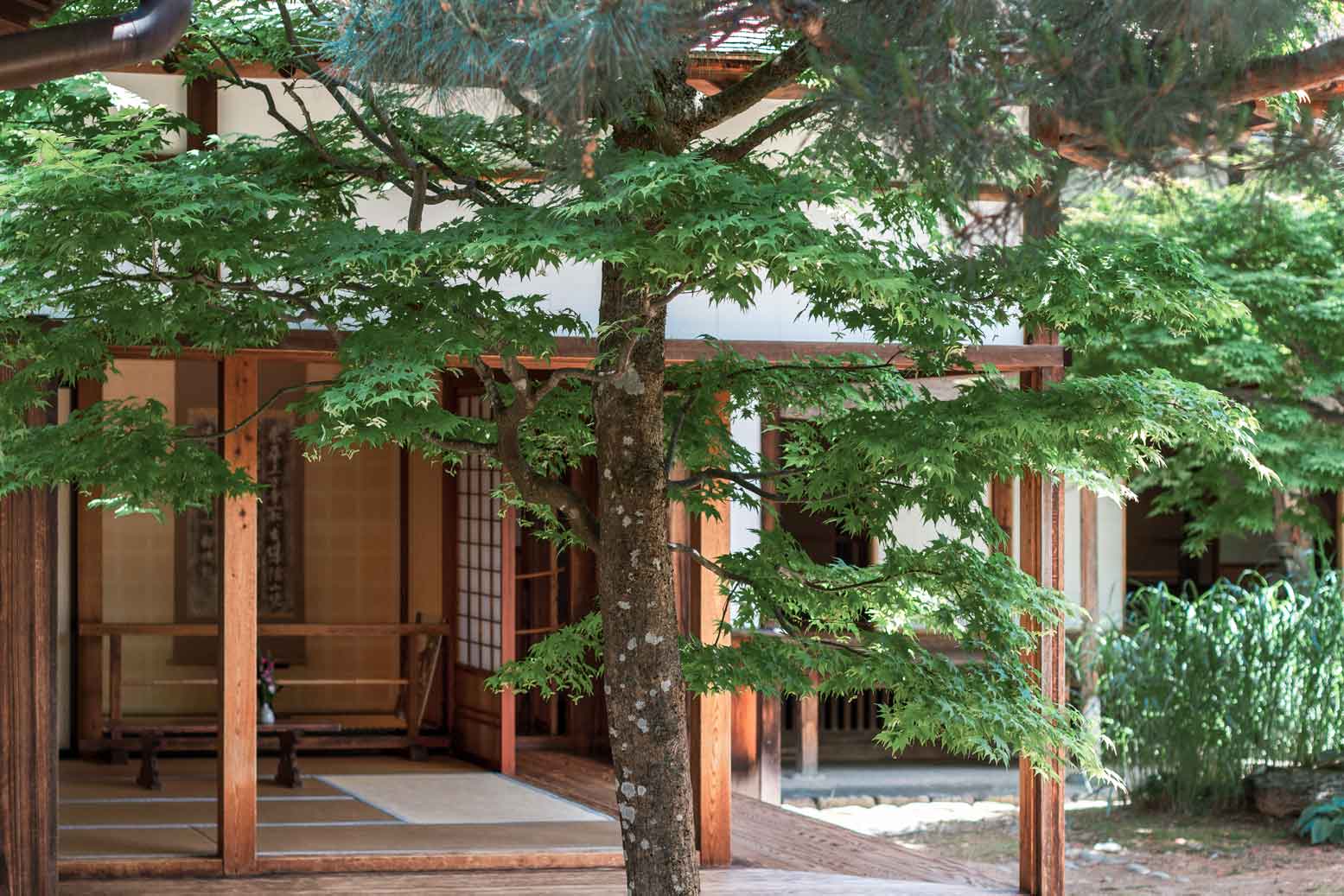 Japan Travel | All You Need To Know And The Best Places To Visit