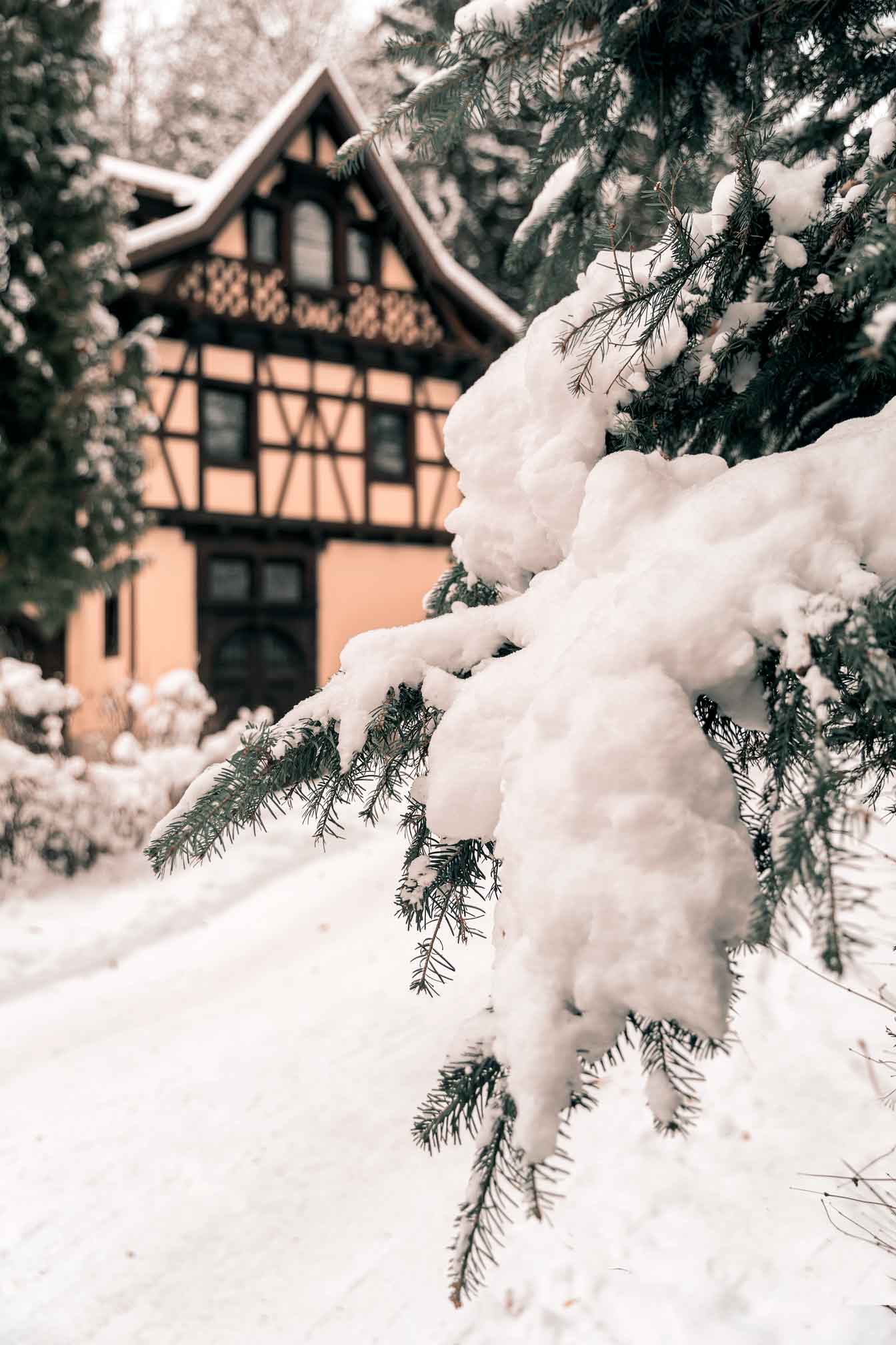 Welcome to Aldovia, the best kept secret of Romania